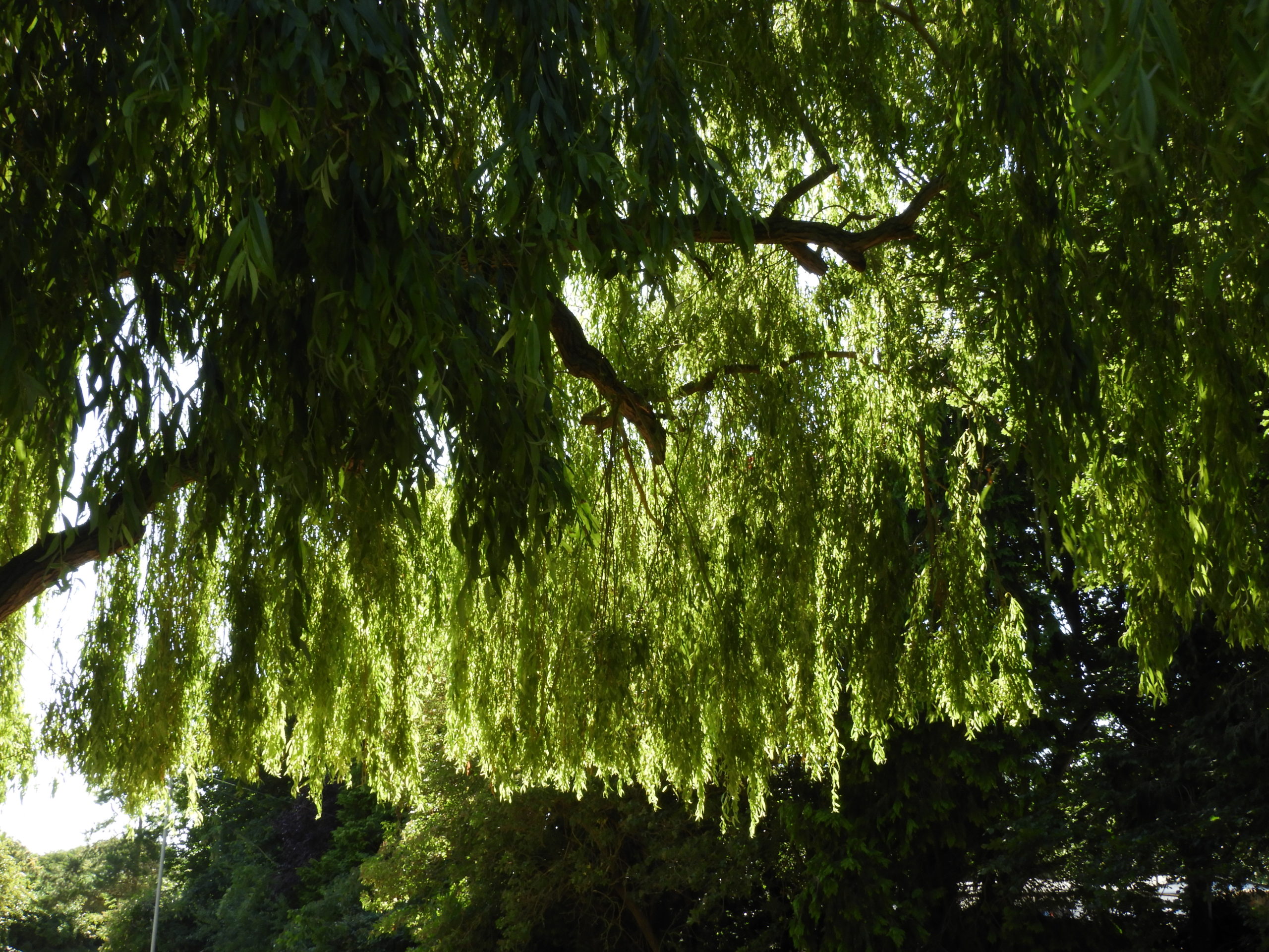 The Next Day - I Don't Like People